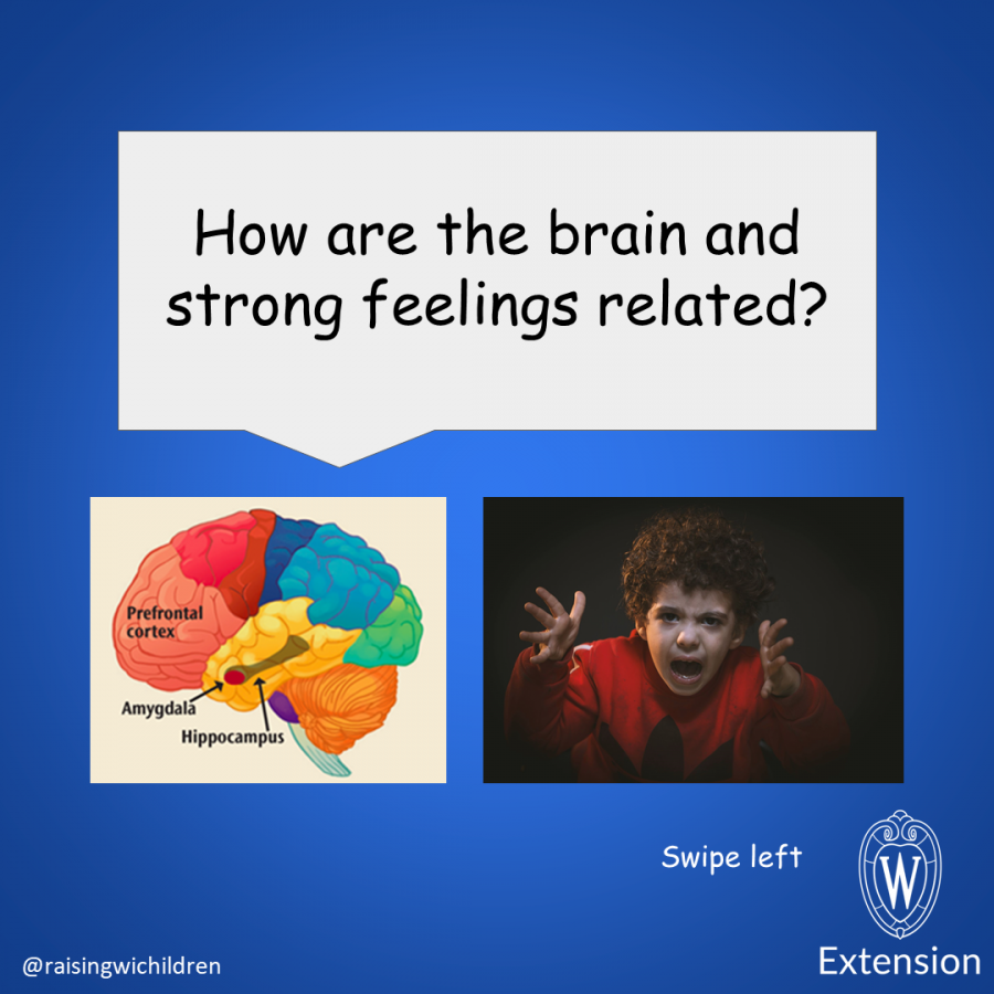 “Meltdowns” and Brain Science – Extension Racine County